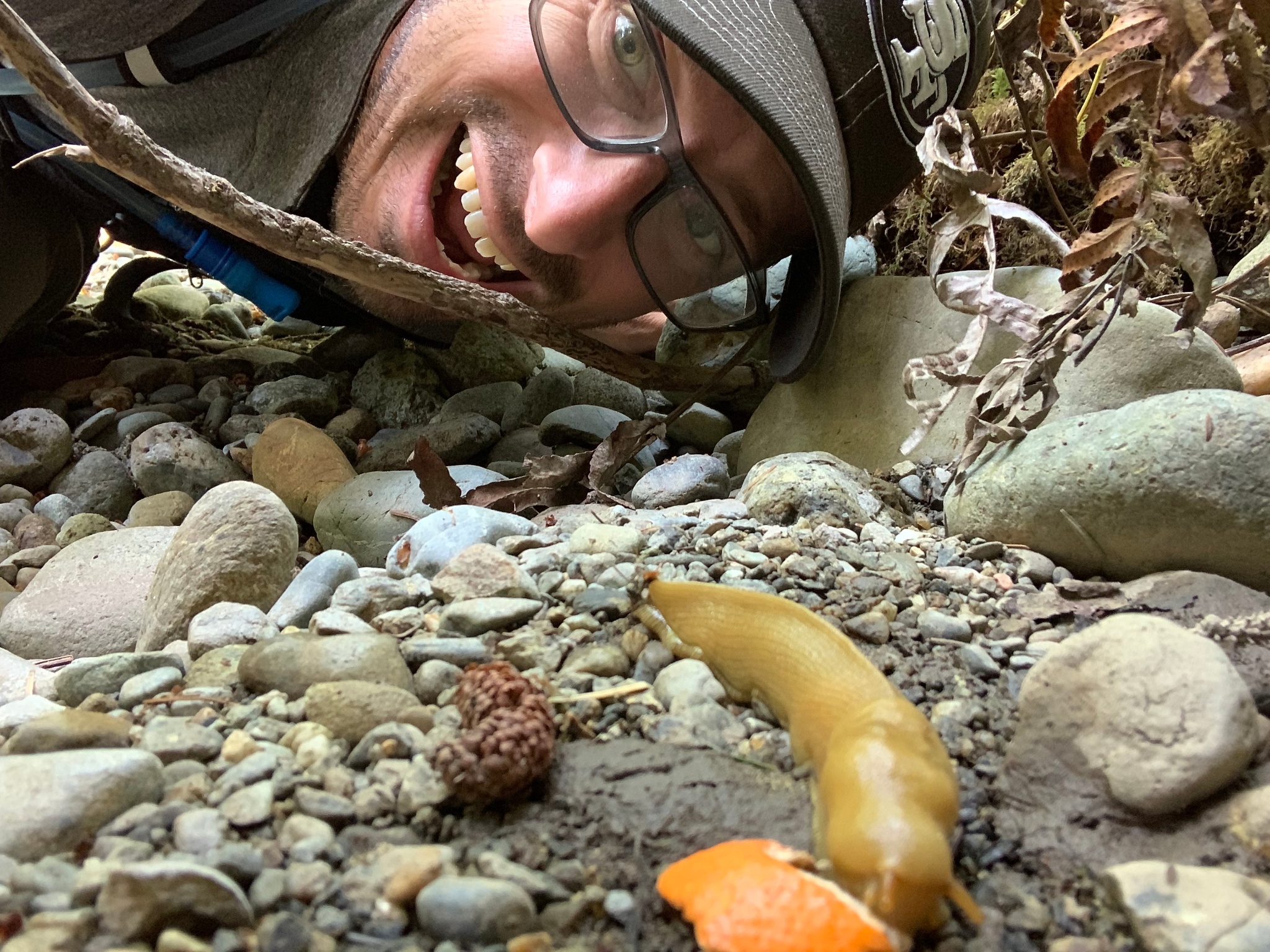 Sr. Hall - Robert Warren School